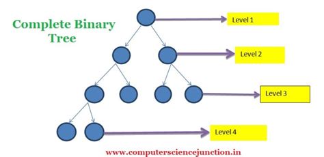 Types Of Binary Tree Binary Tree Tutorial