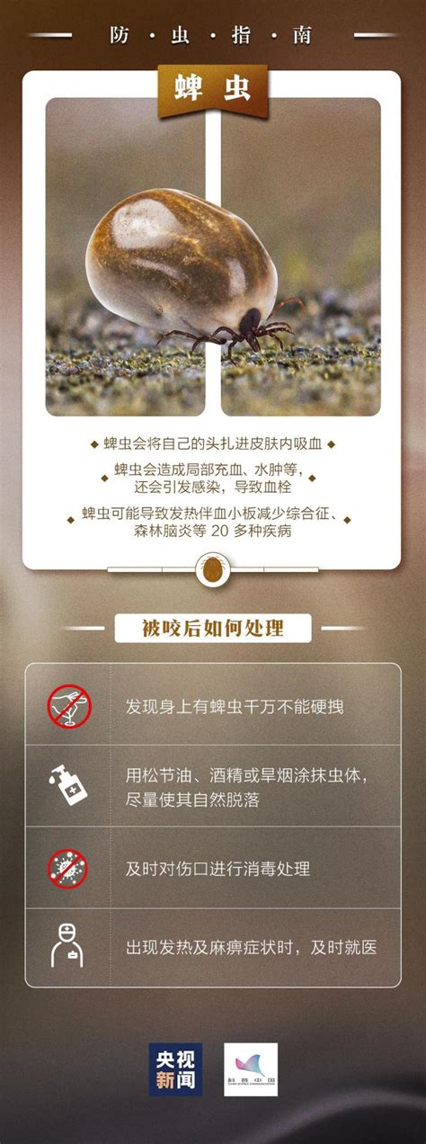 警惕！即将进入活跃期，有人已中招澎湃号·媒体澎湃新闻 The Paper