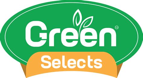 Double Filtered Groundnut Oil Green Selects