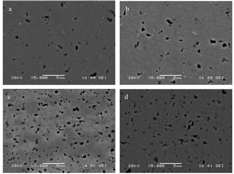 Cross Sectional Sem Micrographs Of Sic Particle