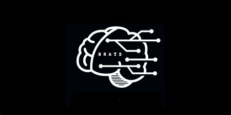 GitHub BrainLesion BraTS Providing Top Performing Algorithms From