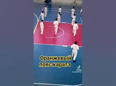 оранжевый пояс каратэ - YouTube