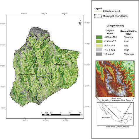 Spatial Representation Of The Canopy Opening Original Data Download Scientific Diagram