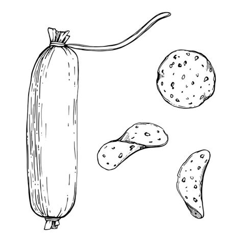 Premium Vector Hand Drawn Vector Ink Illustration Pepperoni Salami