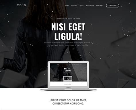 40 Free CSS CSS3 Templates Themes Gridgum