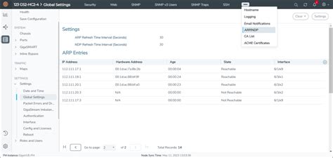 Gigasmart Vxlan Tunnel Encapsulation