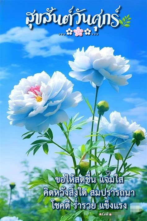 ฟังนะ 💖 สวัสดีวันศุกร์ สุขกาย สุขใจ ได้พักบ้างก็ยังดี 💖 🌞 ขอให้วันนี้ เริ่มต้นด้วยใจเบา