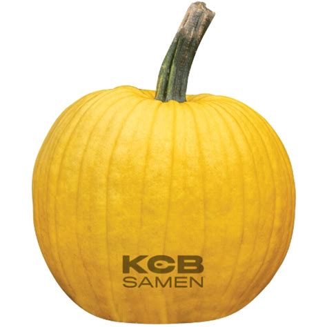 Mellow Yellow F1 Pumpkin seeds | www.kcb-samen.ch