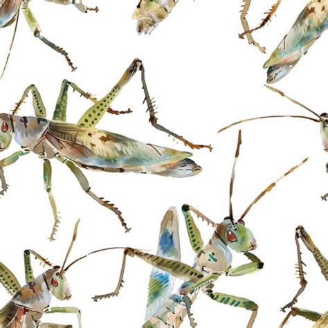 Download Colorful Grasshopper Pattern In Watercolor Art Patterns Online Creative Fabrica