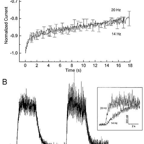 Steady State Inactivation A The Current Traces Shown Were Recorded By
