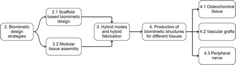 Schematic Illustrating The Structure Of This Review Article And Its Download Scientific Diagram