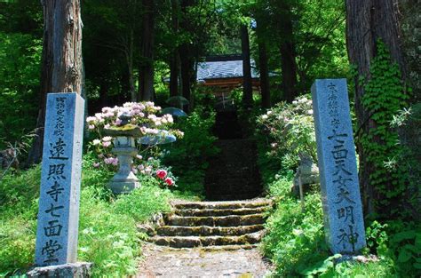 伊那市高遠山室遠照寺の牡丹
