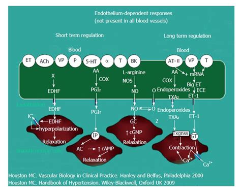 The Role Of Nutrition And Nutraceutical Supplements In The Treatment Of