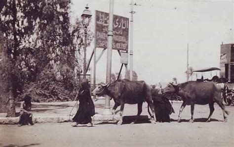 من أمام نادي الزمالك في الجيزه القاهره عام 1920 النادي المختلط