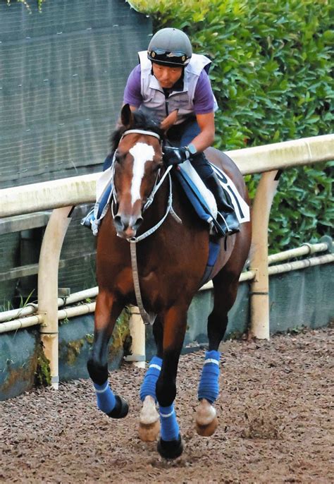 【京都大賞典・傾向と対策】ディープインパクト産駒が断トツの勝利数も不気味なハービンジャー産駒：中日スポーツ・東京中日スポーツ
