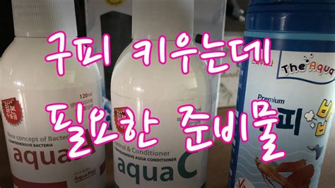 구피 키우기 구피 키우는 준비물 Youtube