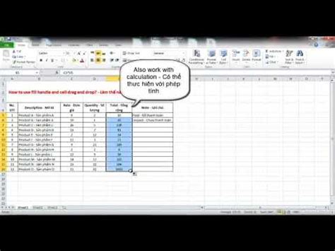 How to use fill handle and cell drag and drop with autofill Sử dụng