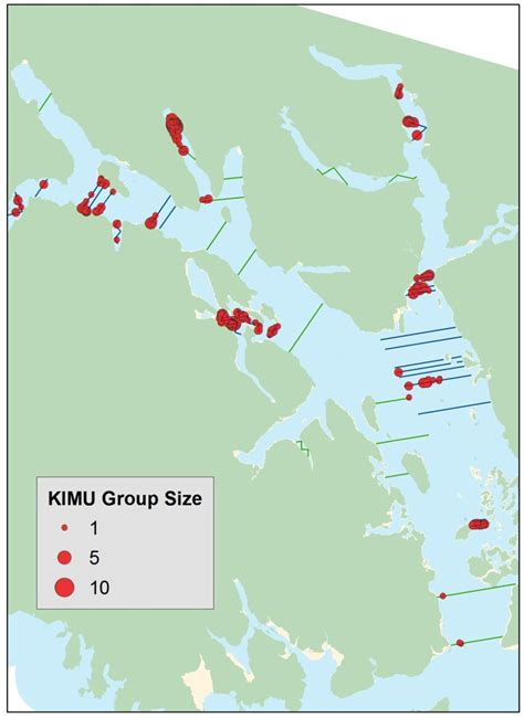 Spatial Distribution Of Kittlitzs Murrelets Observed During Line