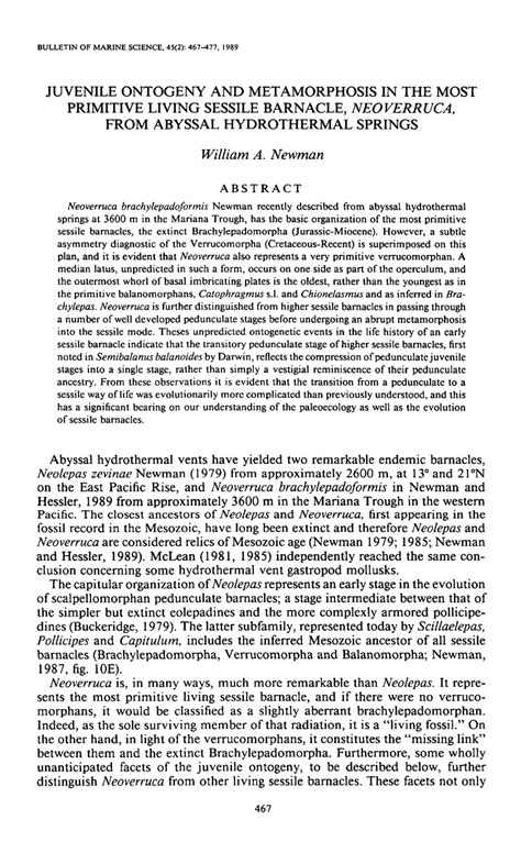 Pdf Juvenile Ontogeny And Metamorphosis In The Most Primitive Living