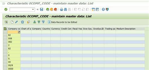 Solved Company Code Master Data Not Visible When Displaye Sap