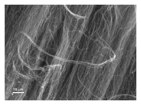 Sem And Tem Images Multi Walled Carbon Nanotubes Prior To Decoration