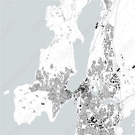 Moss Figure Ground Vector Map Artofit