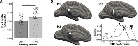 Automatically Defining The Ifrms Using Deep Learning Algorithms A