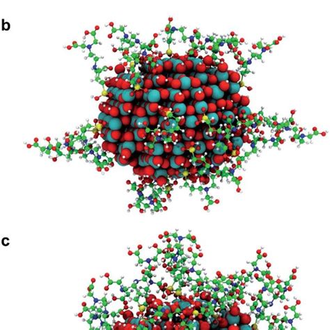 In A The Map Of The Sites On The Spherical Tio 2 Np That Bind Tett In Download Scientific