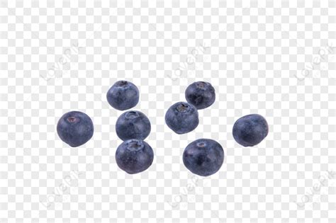 블루 베리 Png 일러스트 무료 다운로드 Lovepik