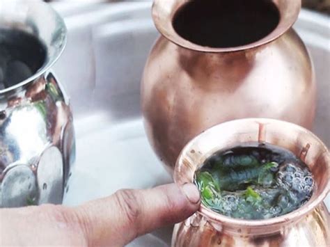 Astro Tips For Tulsi Manjari Do These Upay To Get Maa Lakshmi Blessing