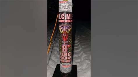 8 King Cobra Shell Fireworks Shorts Youtube