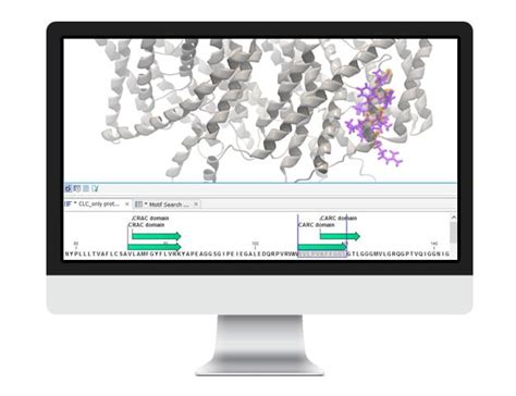 Qiagen Clc Main Workbench Qiagen Digital Insights