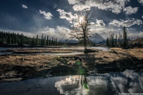 La Guía De Lubezki Para Tomar Las Mejores Fotografías Fotografía
