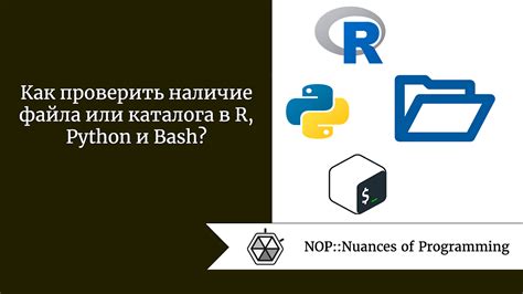 Как проверить наличие файла или каталога в R Python и Bash By