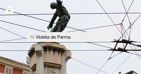 Imágenes De Violeta De Parma Descarga Imágenes Gratuitas En Unsplash