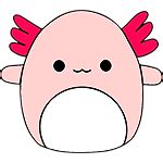 Squishmallow Coloriages Et Livres En PDF