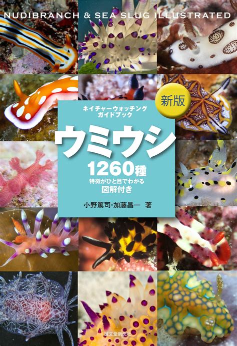 알라딘 新版 ウミウシ 特徵がひと目でわかる圖解付き