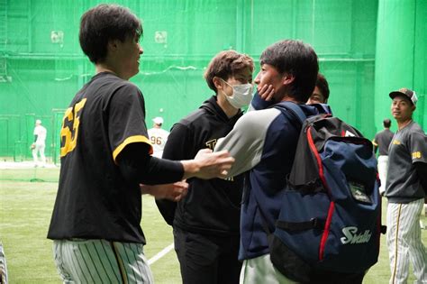 大坂尚子 On Twitter 【7日の試合前練習】 尾仲祐哉 投手に飛びつく 湯浅京己 投手 阪神タイガース Tigers