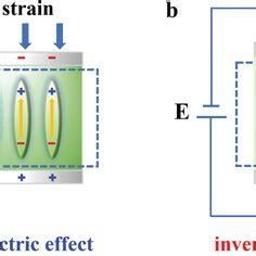 Ae Different Crystal Forms And Fh Conformations Of PVDF The Green Download Scientific