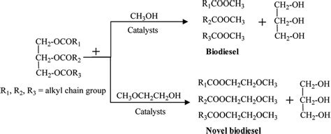 Chemical Equation Of Biodiesel And Novel Biodiesel Production Through