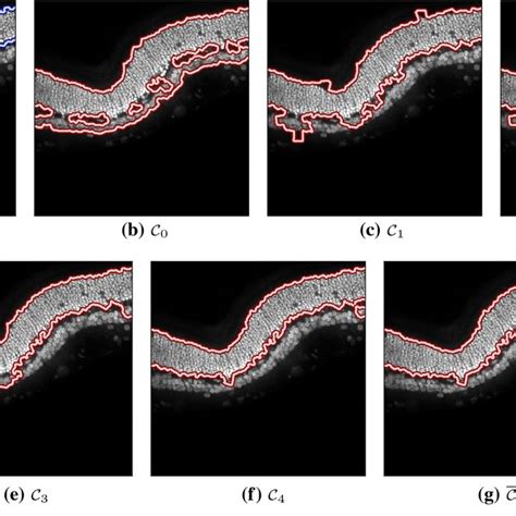 Contours Of Segmentations Obtaining Using The Different Constraint Sets