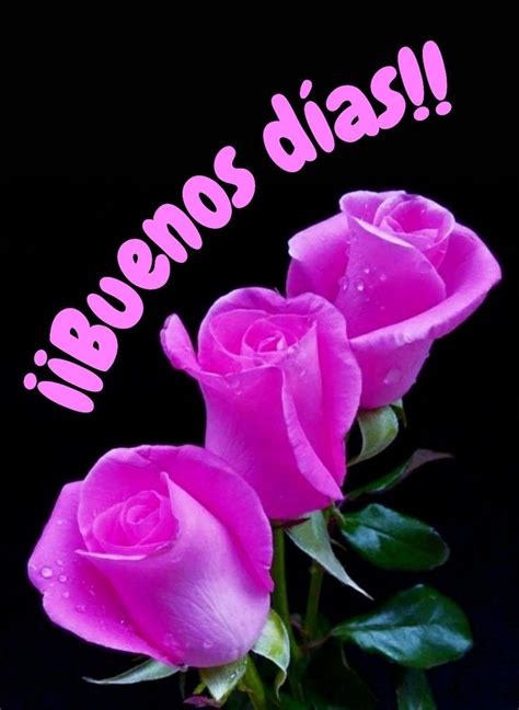 Pin de Maria Eugenia G en saludos Buenos días saludos Hola buenos
