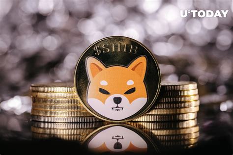 Shiba Inu Shib Price Spikes As Lead Developer Announces Shibarium