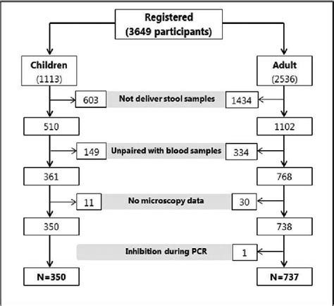 Figure 1 From Multiplex Real Time Pcr As Opposed To Stool Microscopy
