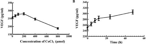 Effect Of Cocl 2 Induced Hypoxia On The Production Of Vegf Was