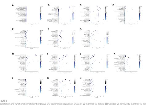 Figure 5 From The Spatiotemporal Profile Of Dendrobium Huoshanense And