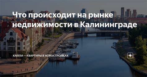 Что происходит на рынке недвижимости в Калининграде Кайли — квартиры в новостройках Дзен