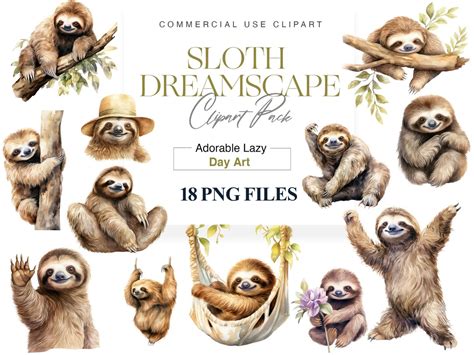 Watercolor Sloth Clipart Cute Hanging Sloth Png Sleeping Sloth T