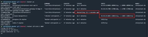 Error Setup MQTT Integration Issue 77 Chirpstack Chirpstack