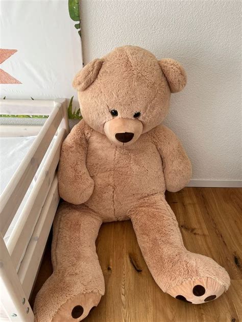 Riesen XXL Teddy Kuschel Bär Neuwertig riecht gut 160cm lang Kaufen